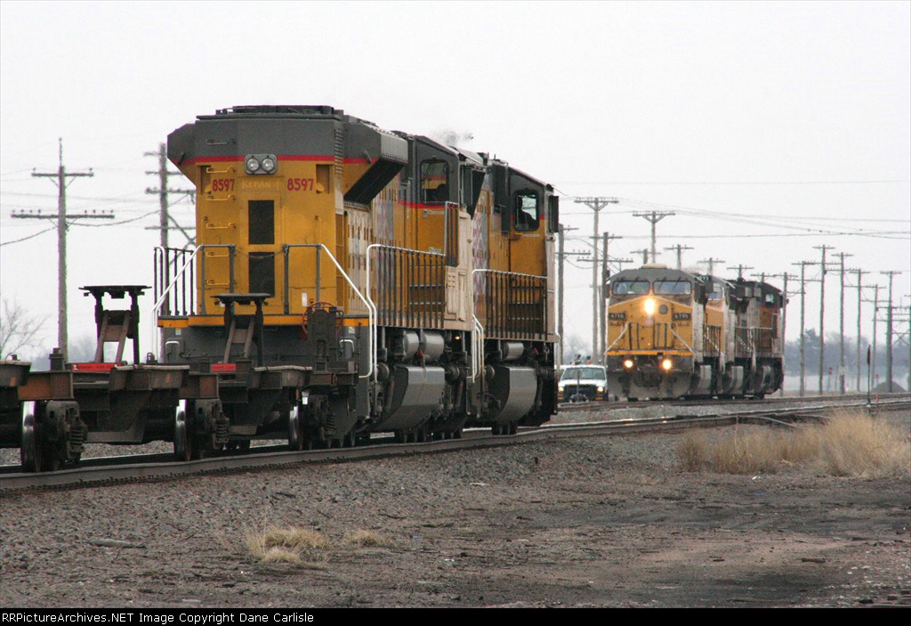 Bare Spines pass a Funeral train